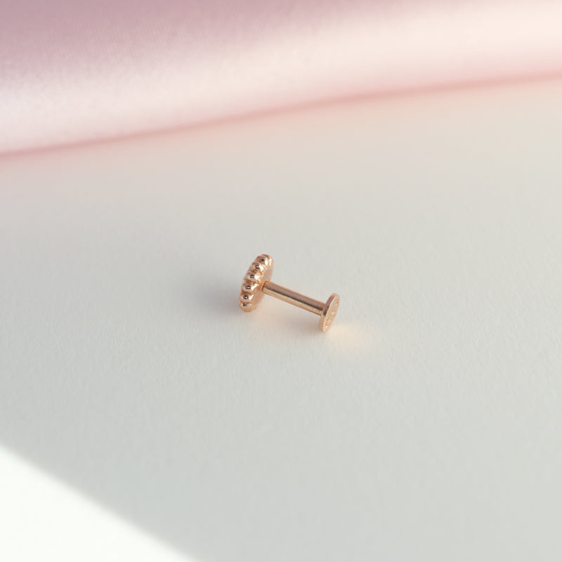 Fan Shell Labret Piercing 14K Gold | Musemond