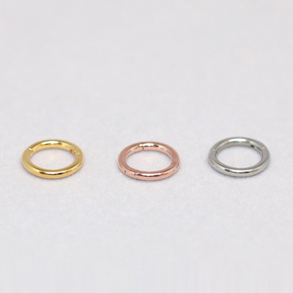 16g Hinged Segment Ring 316L Stainless Steel | Musemond